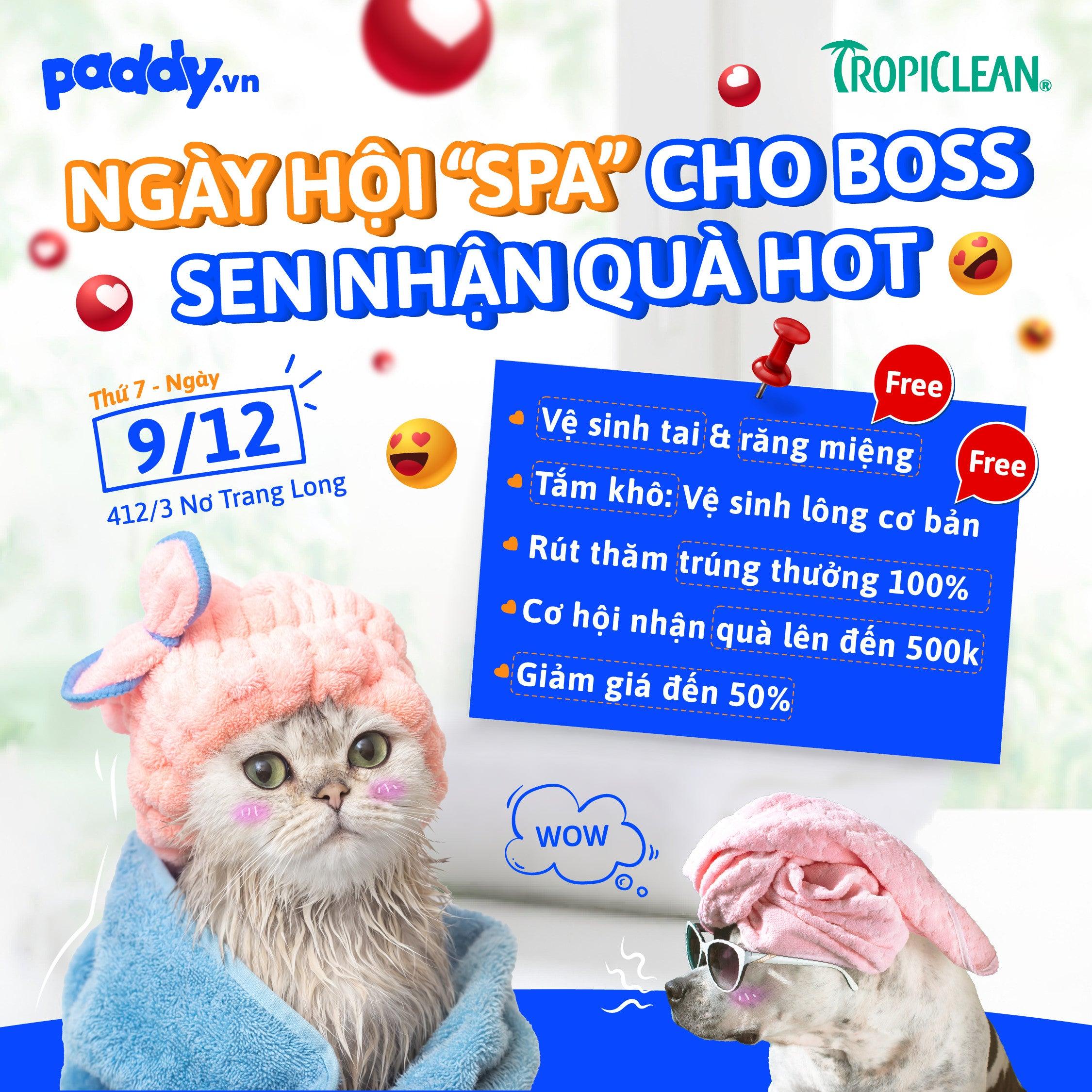 [Ngày Hội] SPA Cho Boss - Sen Nhận Quà Hot – Paddy Pet Shop