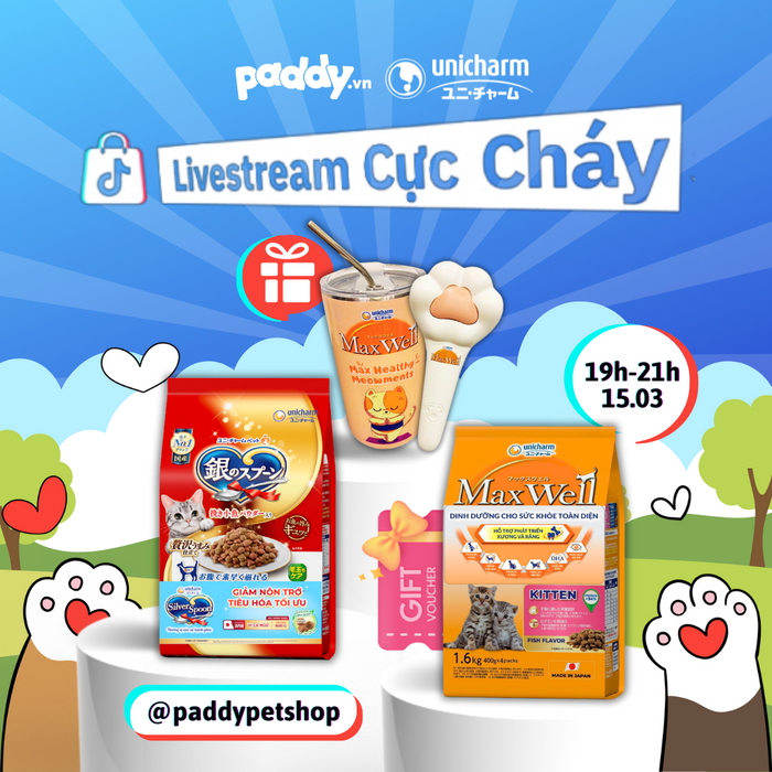 Xem Live Hạt Mèo Nhật - Sen Rinh Quà Cực Chất – Paddy Pet Shop