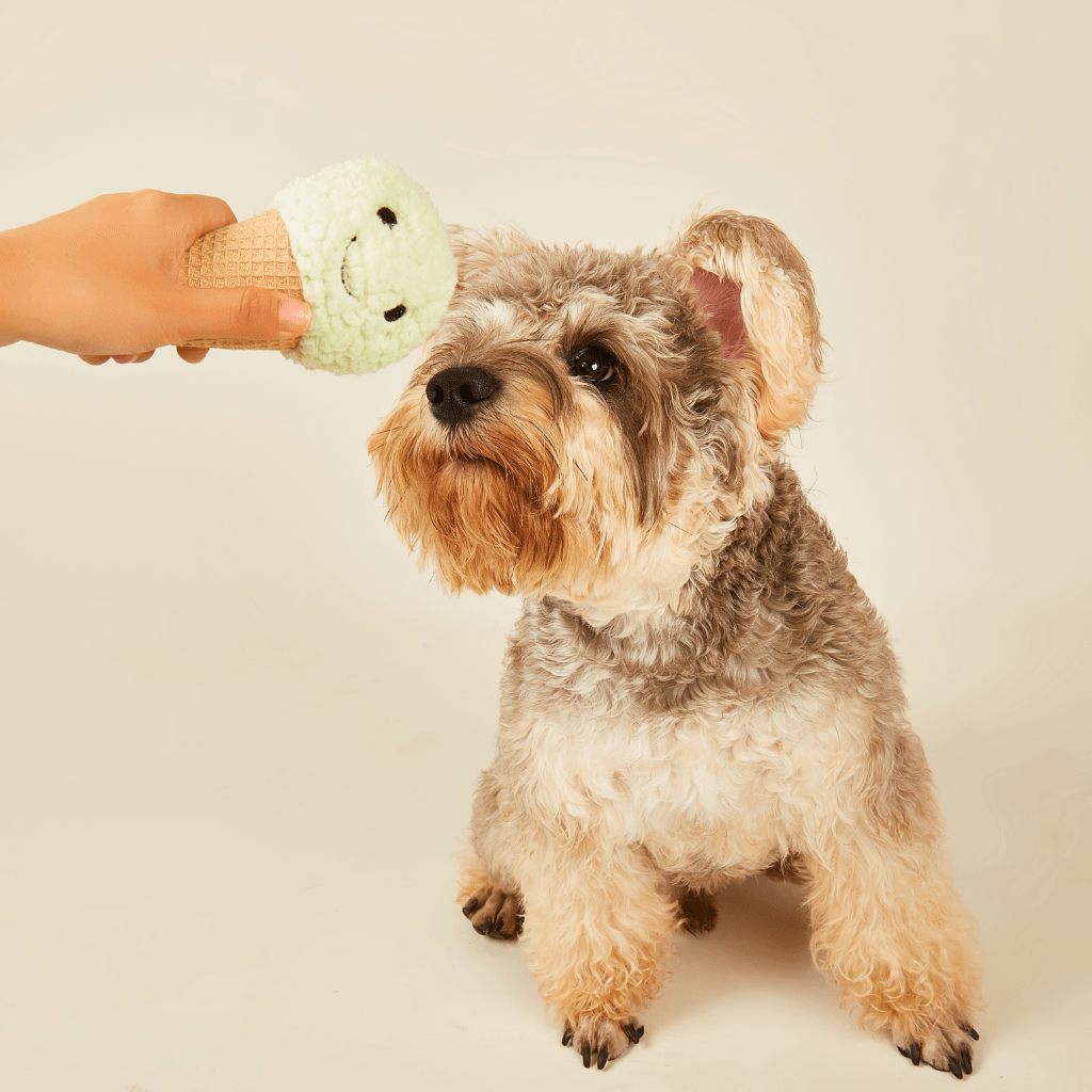 Đồ Chơi Cho Chó Que Kem Nhồi Bông FOFOS – Paddy Pet Shop