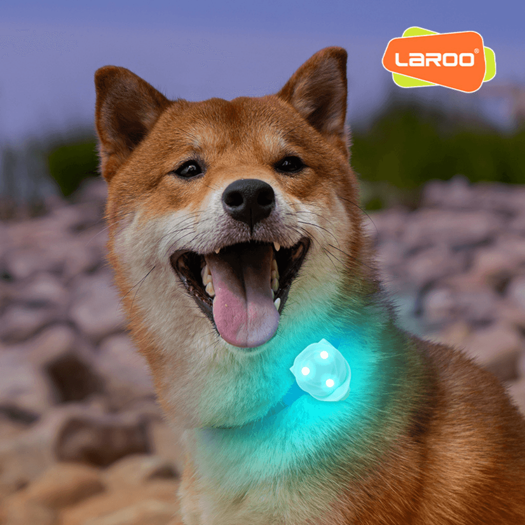 Đèn LED Rời Gắn Vòng Cổ Chó Mèo Laroo Blinker (Dùng Pin) – Paddy Pet Shop