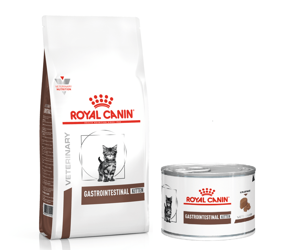 Hạt Cho Mèo Con Royal Canin Gastrointestinal Kitten Hỗ Trợ Tiêu Hóa 2kg ...