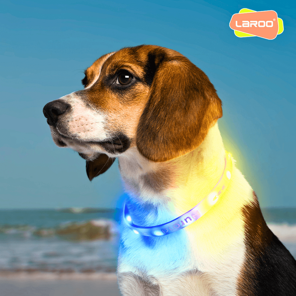 Vòng Cổ Cho Chó Đèn LED Laroo Sạc USB - Aurora 65cm – Paddy Pet Shop