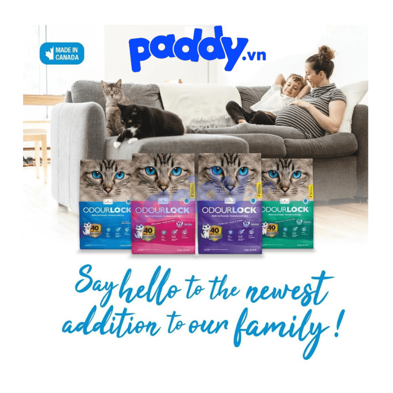 Cát Đất Sét Mèo Cao Cấp Odourlock (Canada) – Paddy Pet Shop