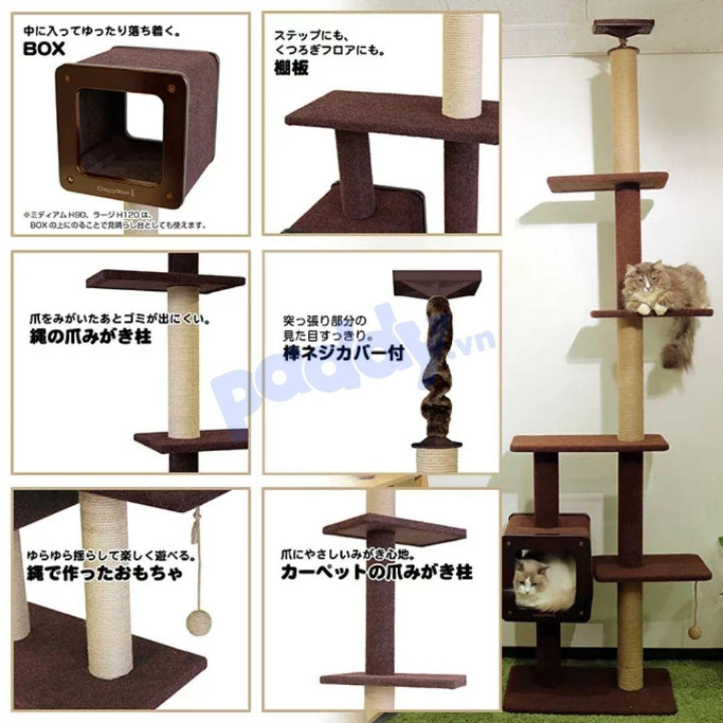 [230cm Single] Tháp Mèo Cào Móng Cattyman Cat Tree – Paddy Pet Shop