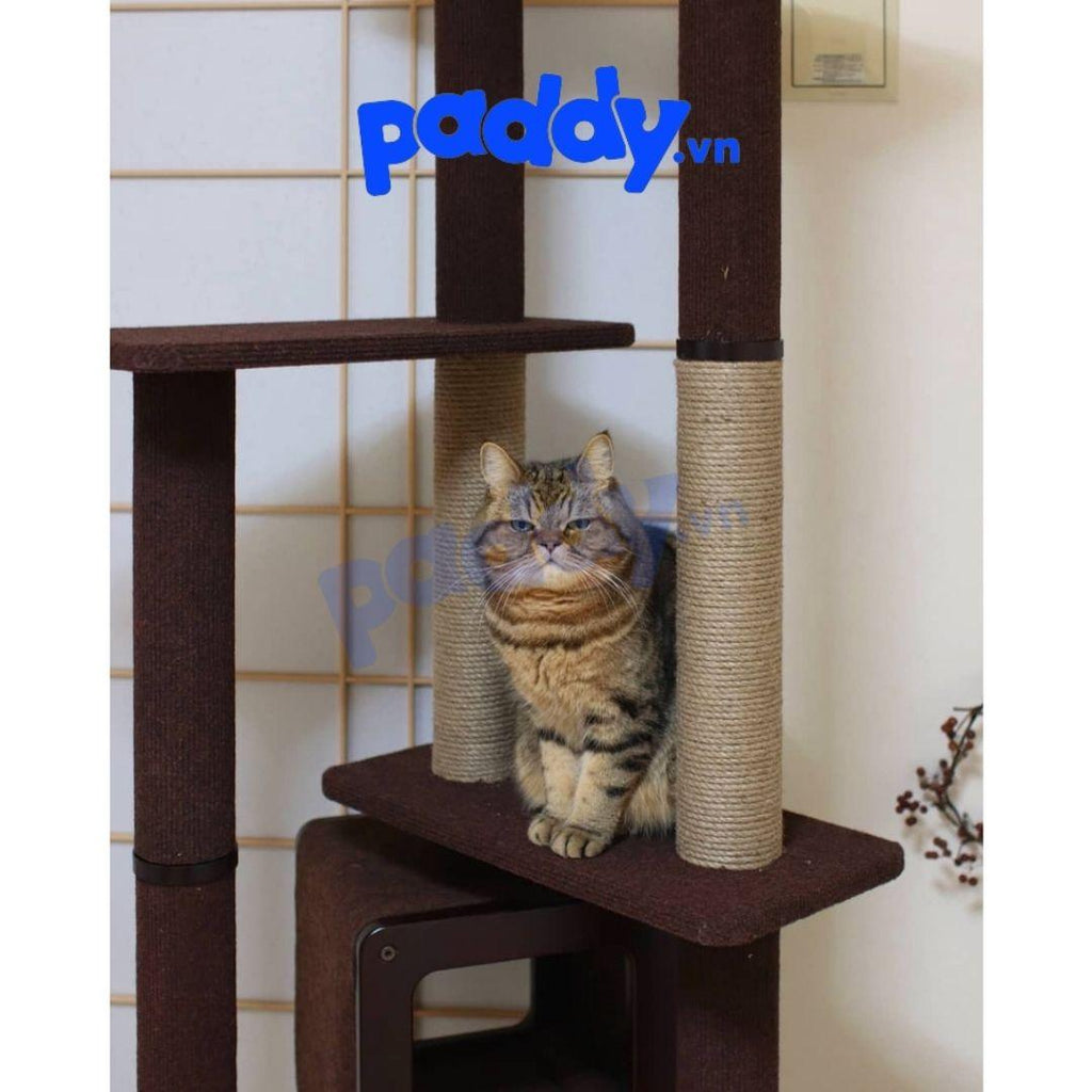 [230cm Double] Tháp Mèo Cào Móng Cattyman Cat Tree – Paddy Pet Shop