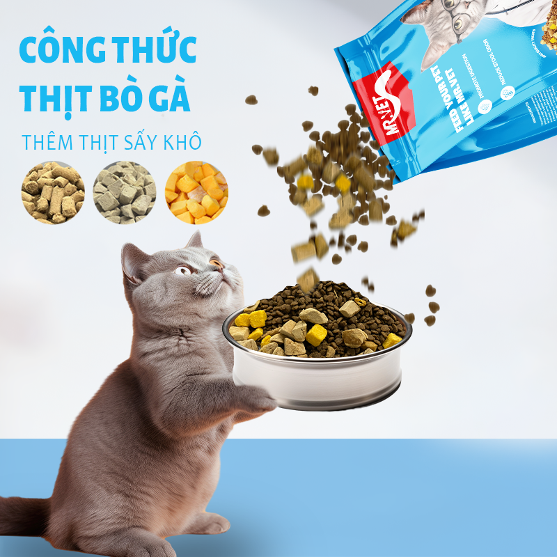 Hạt Cho Mèo Mr Vet 1KG – Paddy Pet Shop