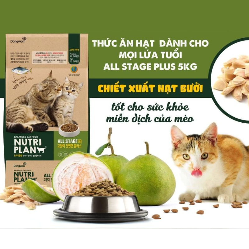 Hạt Mèo Mọi Lứa Tuổi Nutri Plan Cat All Stage Plus – Paddy Pet Shop