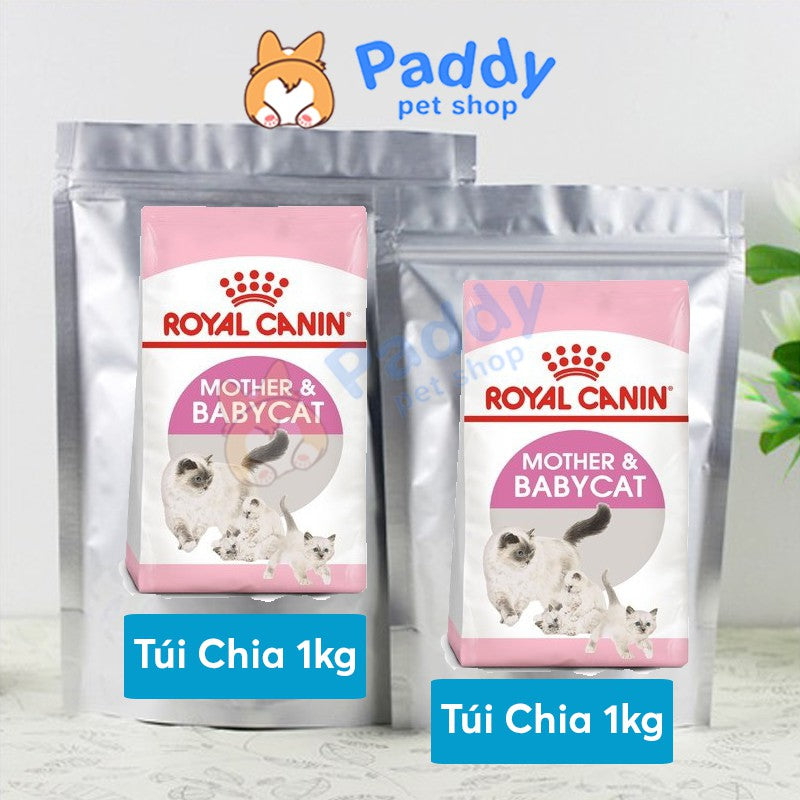 Thức Ăn Hạt Cho Mèo Con Royal Canin Kitten 36 – Paddy Pet Shop