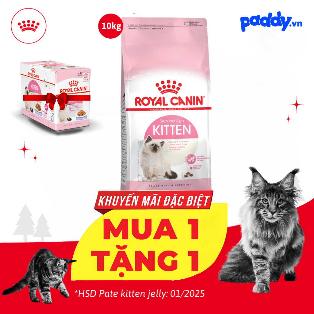 Thức Ăn Hạt Cho Mèo Con Royal Canin Kitten 36 – Paddy Pet Shop