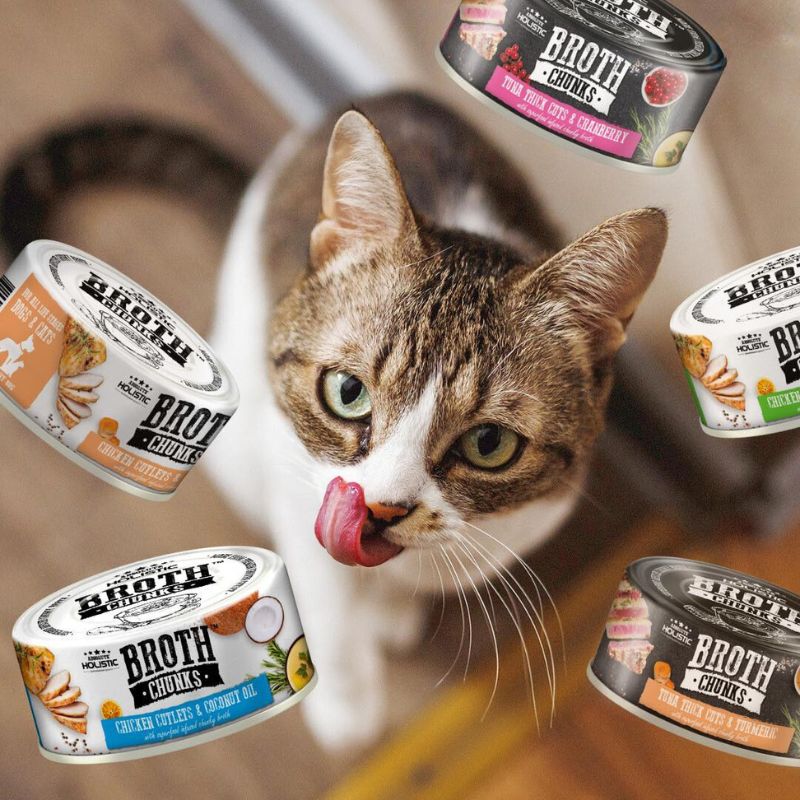 Pate Cho Chó Mèo Absolute Holistic Broth Chunks Lon 80g – Paddy Pet Shop