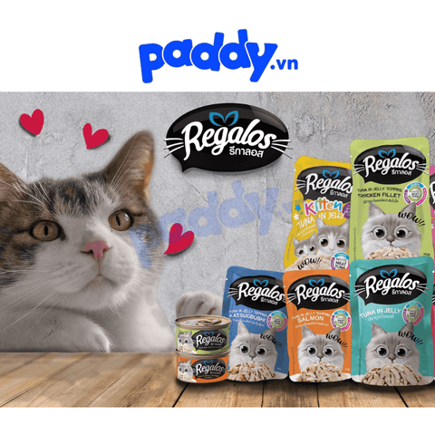 Pate Mèo Con Regalos Kitten Cá Ngừ 70g – Paddy Pet Shop