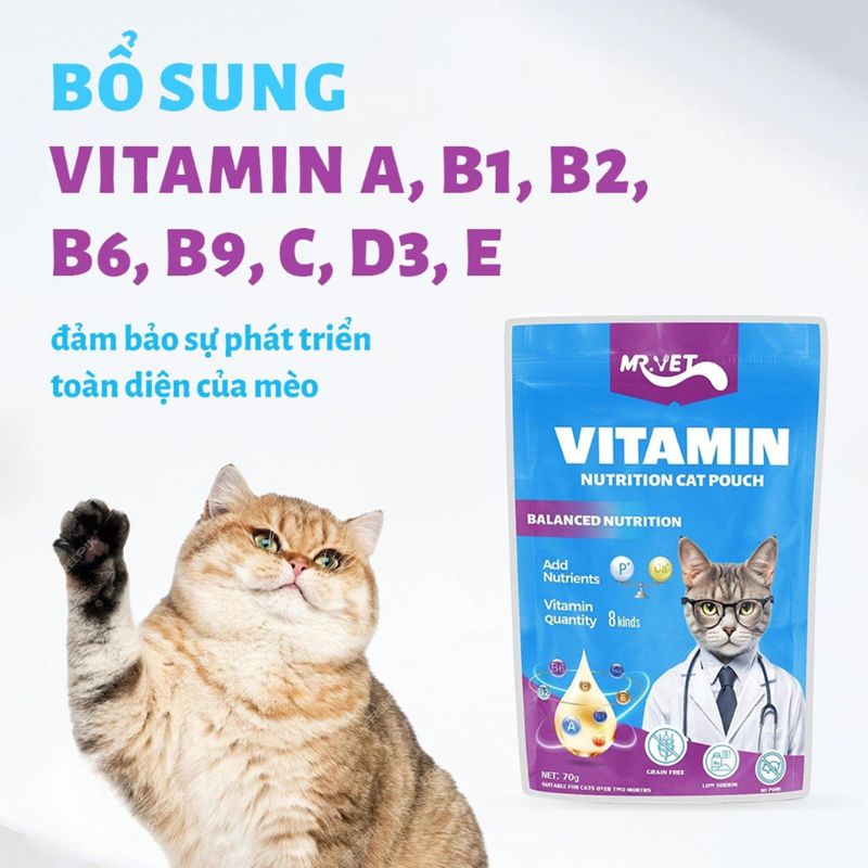 Pate Cho Mèo Mr Vet 70g – Paddy Pet Shop