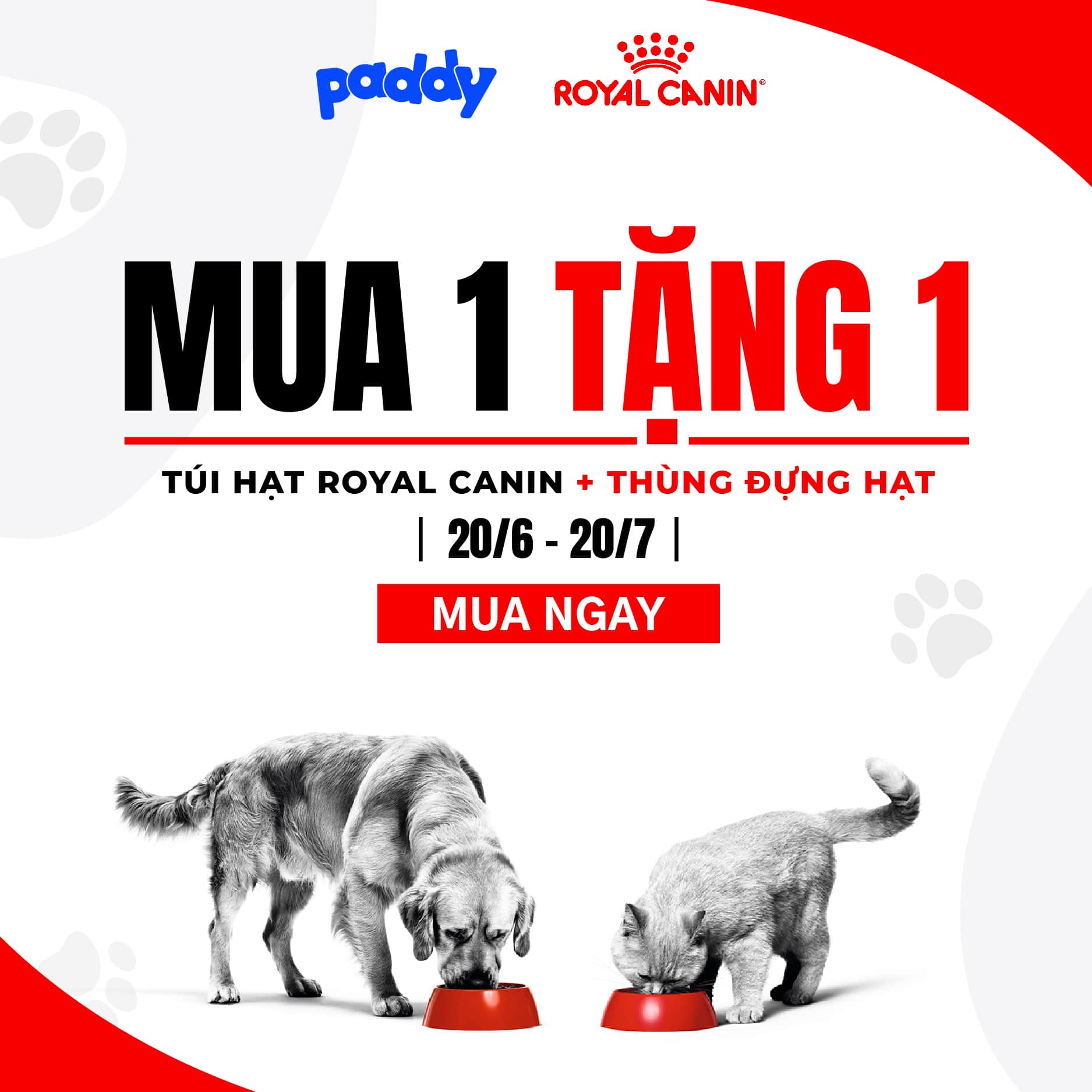 [120cm] Tháp Mèo Cào Móng Cattyman Cat Tree H120#N# – Paddy Pet Shop