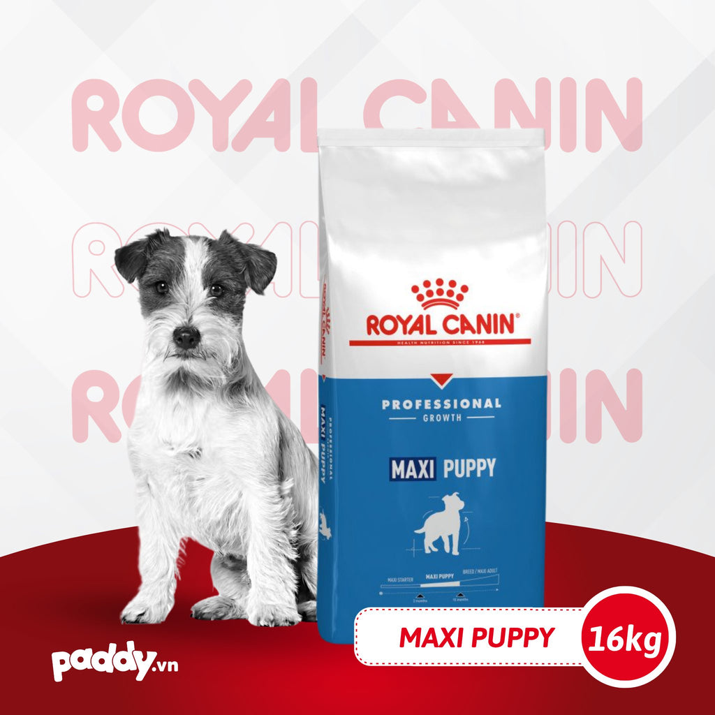 Hạt Cho Chó Con Giống Lớn Royal Canin Maxi Puppy – Paddy Pet Shop