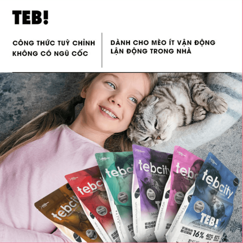 Thức Ăn Hạt Mèo Teb City Mix Nhiều Vị – Paddy Pet Shop