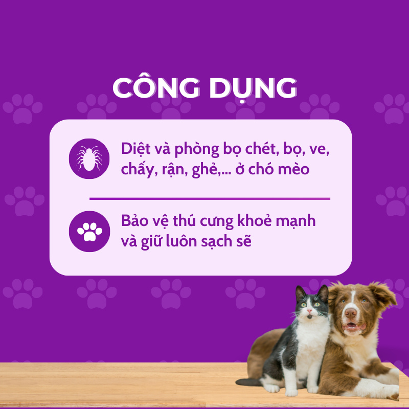 Xịt Trị Ve Rận Cho Chó Mèo Q8 Santox 50ml – Paddy Pet Shop