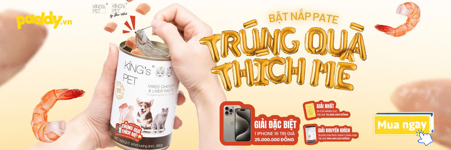 Paddy Pet Shop | Thức Ăn, Phụ Kiện Thú Cưng, Giao Hỏa Tốc Freeship