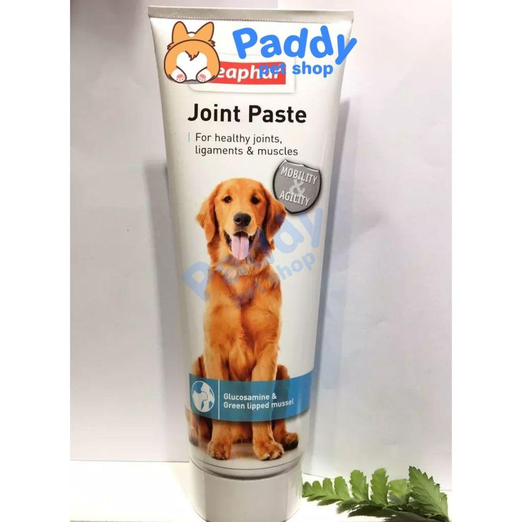 Thức Ăn Dinh Dưỡng Cho Chó Mèo Beaphar Bổ Xương Khớp 250G – Paddy Pet Shop