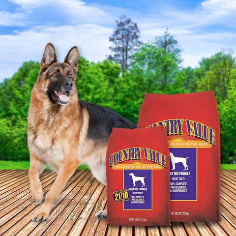 Hạt Country Value Tăng Cơ Bắp Cho Chó Trưởng Thành (Nhập Khẩu Mỹ ...