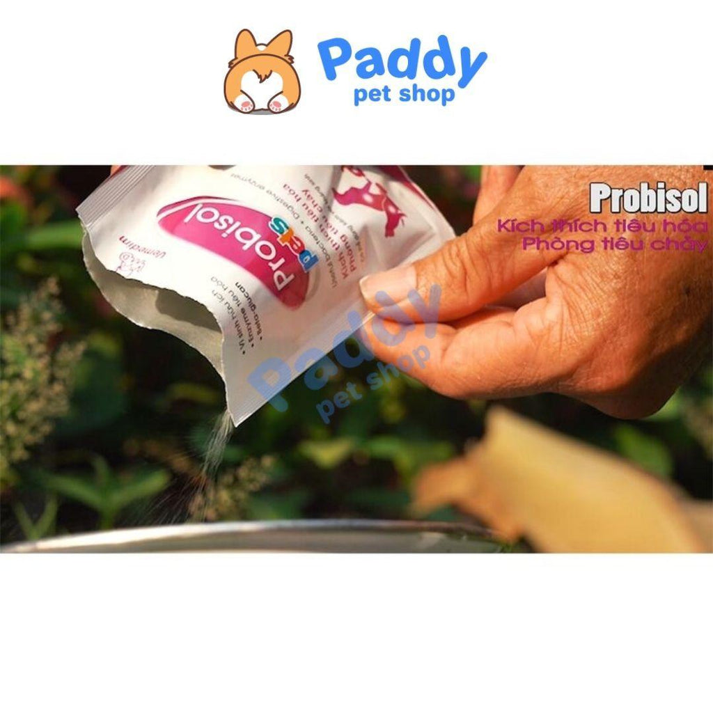Thực Phẩm Chức Năng Cho Mèo Men Tiêu Hóa Probisol Pets 5G – Paddy Pet Shop
