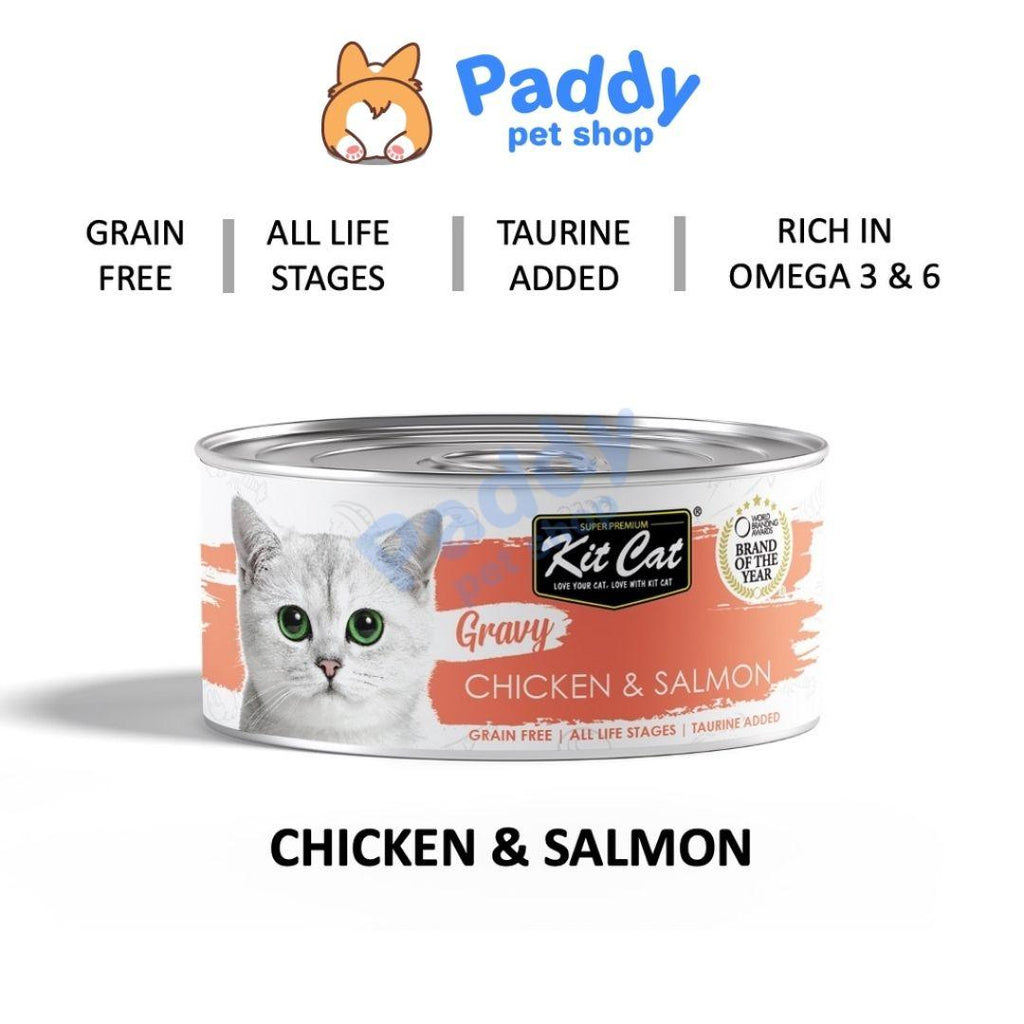 Pate Mèo Mọi Lứa Tuổi Kit Cat Gravy Lon 70g – Paddy Pet Shop