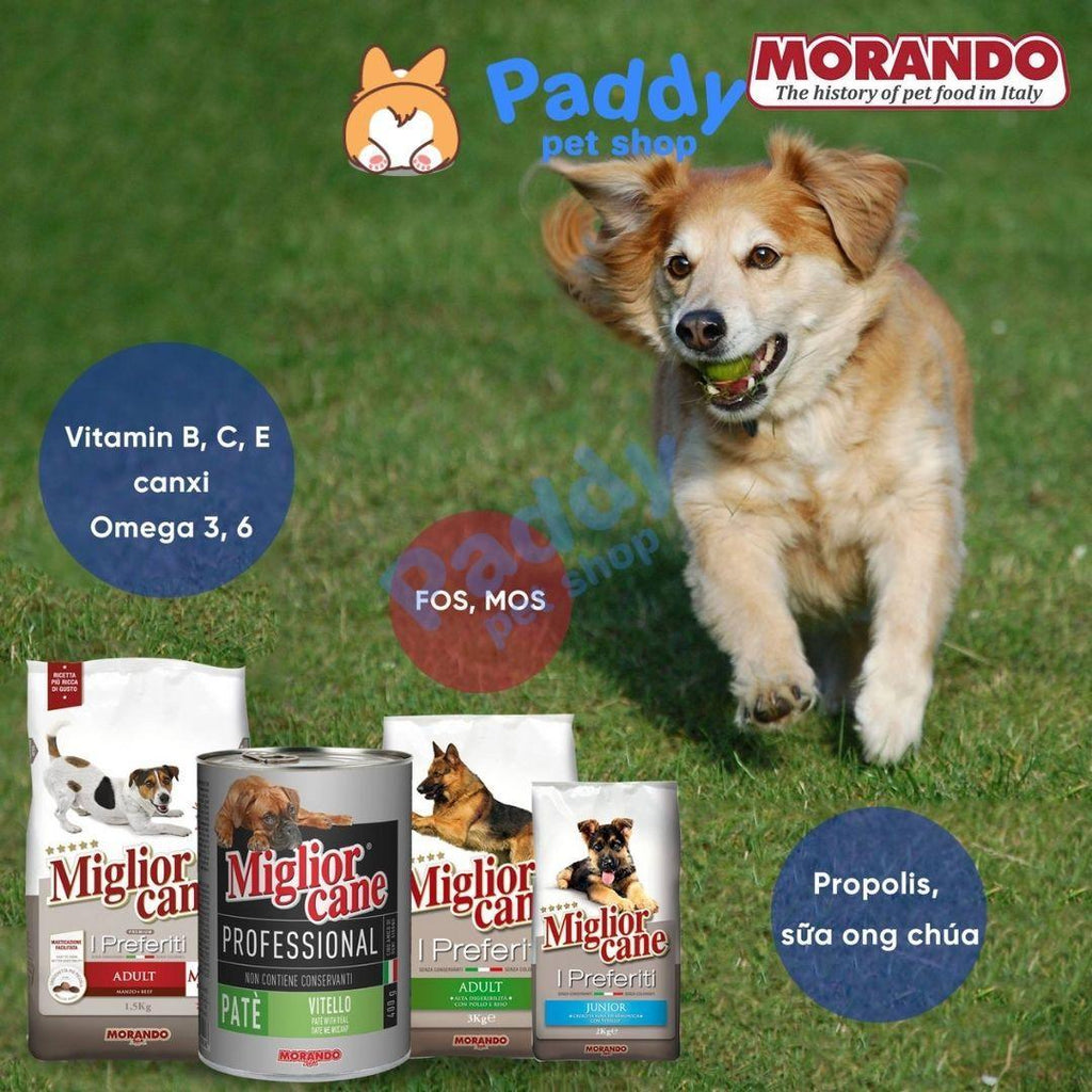 Pate Morando Cho Chó Trưởng Thành (Lon 400g) – Paddy Pet Shop