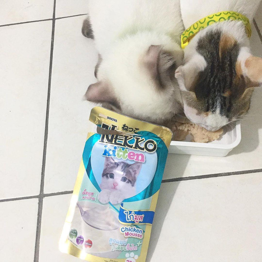 Pate Mèo Con Dạng Kem Nekko Kitten Mousse 70g – Paddy Pet Shop