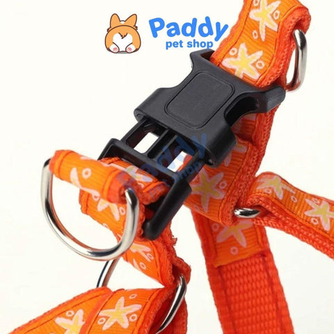 Set Dây Dắt Kèm Vòng Yếm Vải In Họa Tiết Cho Chó Mèo – Paddy Pet Shop