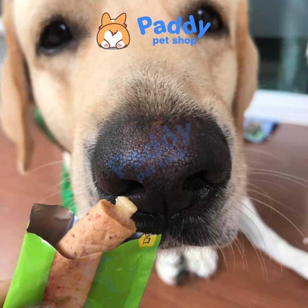 Snack Gà Mềm Chứa Sốt Cho Chó Inaba Churu Bee & Churutto (Thái Lan ...