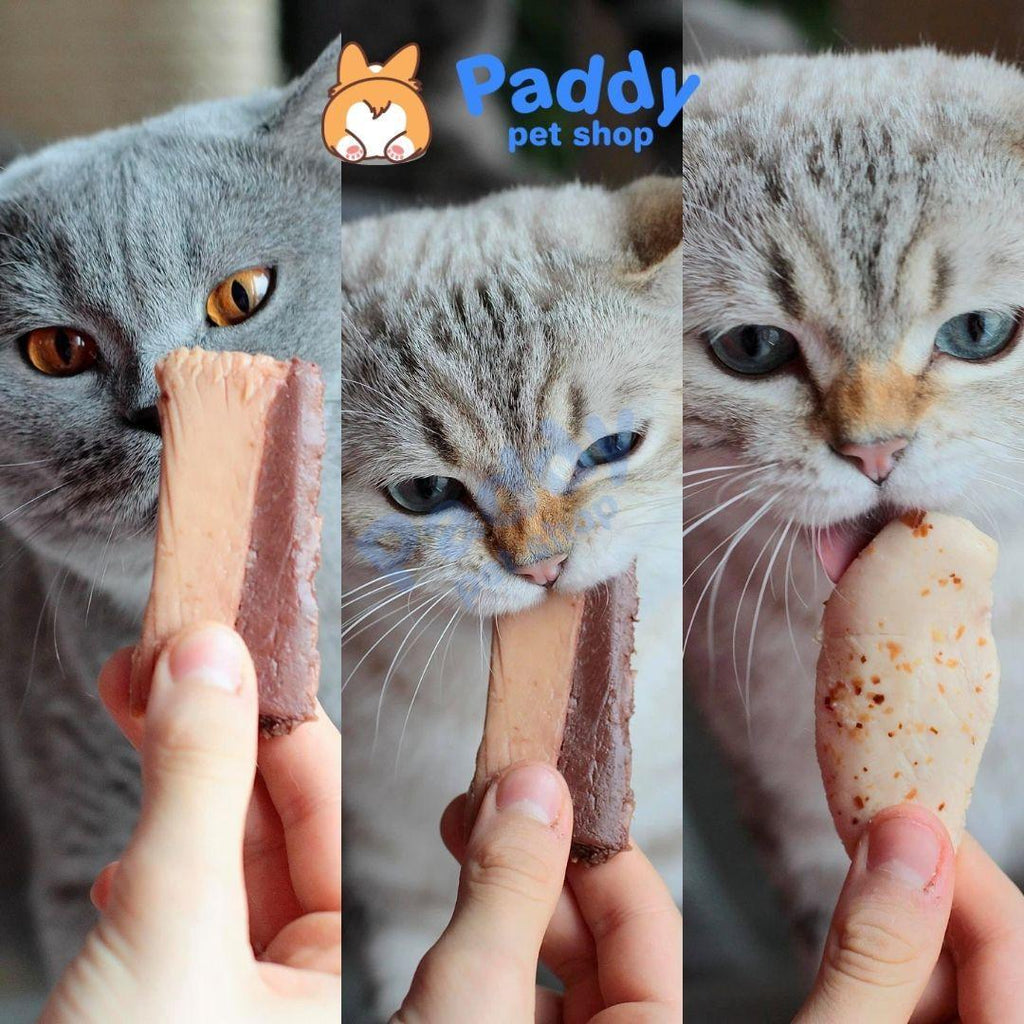 Bánh Thưởng Mèo Kit Cat Phi Lê Ngừa Búi Lông 30g – Paddy Pet Shop