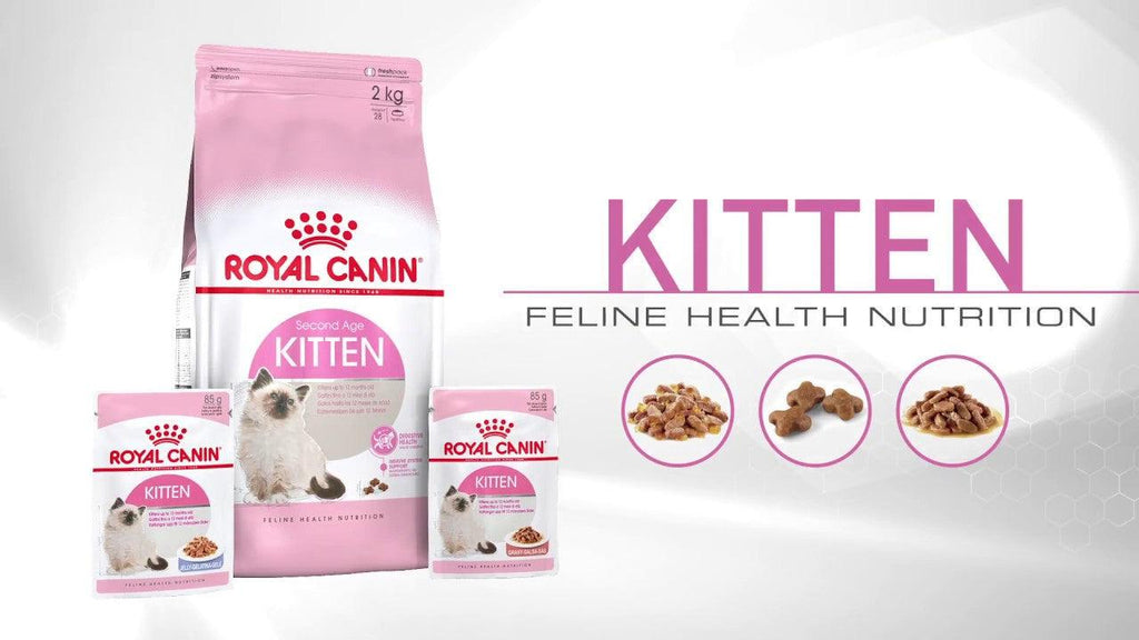 Thức Ăn Hạt Cho Mèo Con Royal Canin Kitten 36 – Paddy Pet Shop